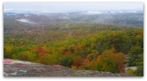 Find the Best Fall Foliage Near Greenville This Season