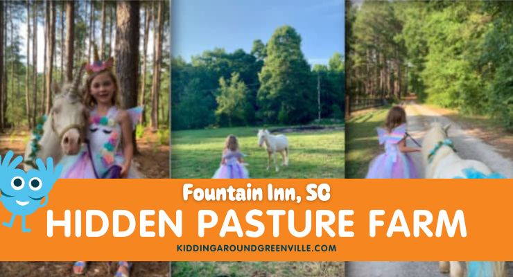Find a Unicorn at Hidden Pasture Farm in Fountain Inn, SC