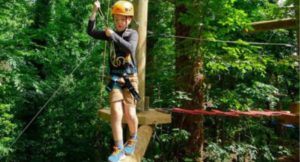 A Guide to the Entire Swamp Rabbit Trail