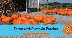 Find the Perfect Pumpkin at A Pumpkin Patch Near Greenville