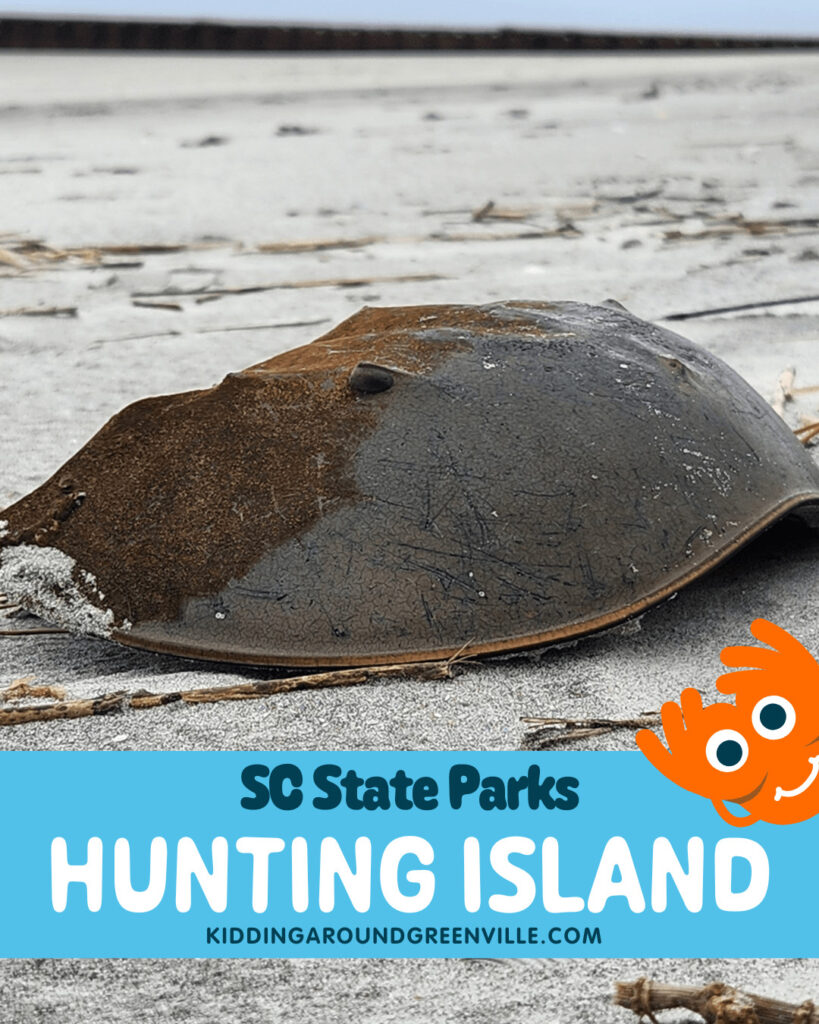 Hunting Island State Park Has One of the Most Unique Landscapes