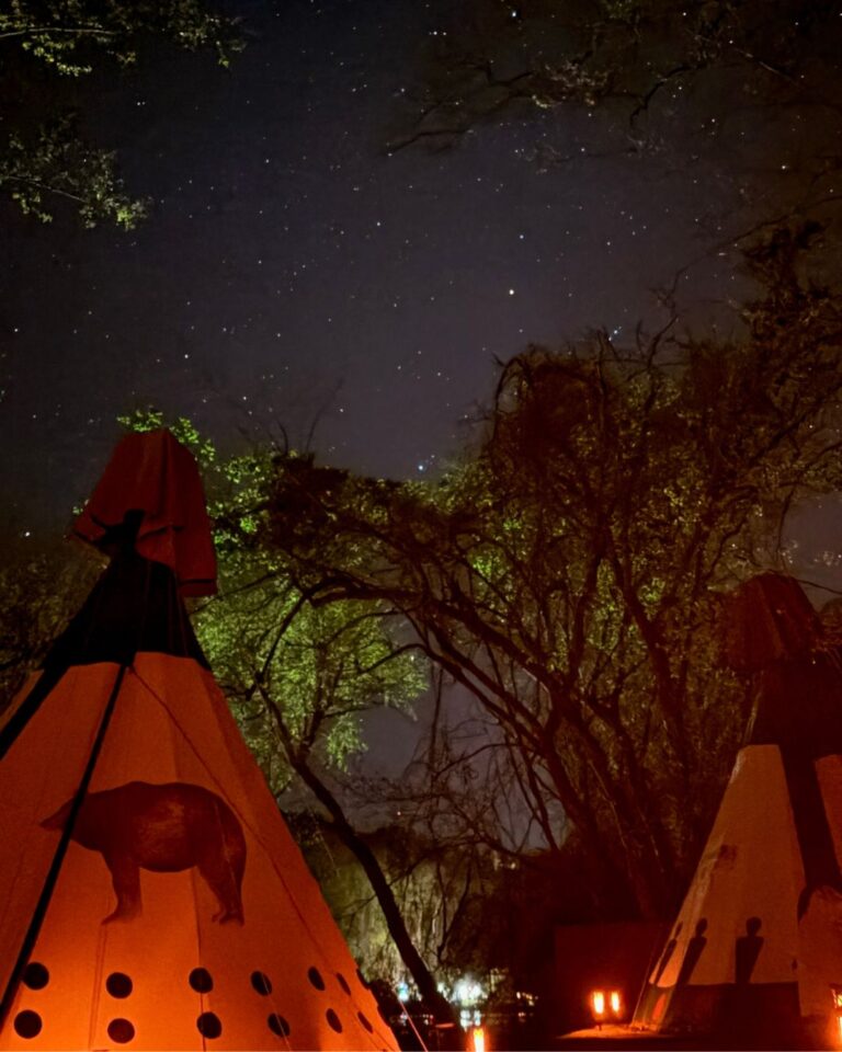 Spring Camping in Bryson City, NC: Grumpy Bear