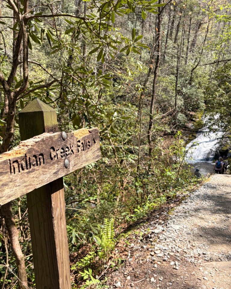 Spring Camping in Bryson City, NC: Grumpy Bear